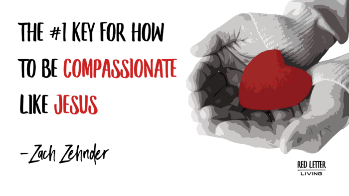 Feeling Sorry is Not Practicing Compassion: The #1 Key for How to Be ...