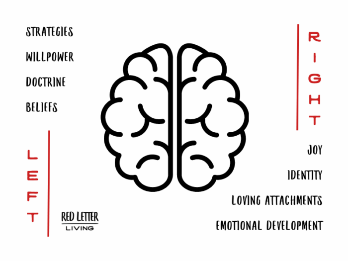 4 Ways Brain Science Impacts Discipleship - Red Letter Living